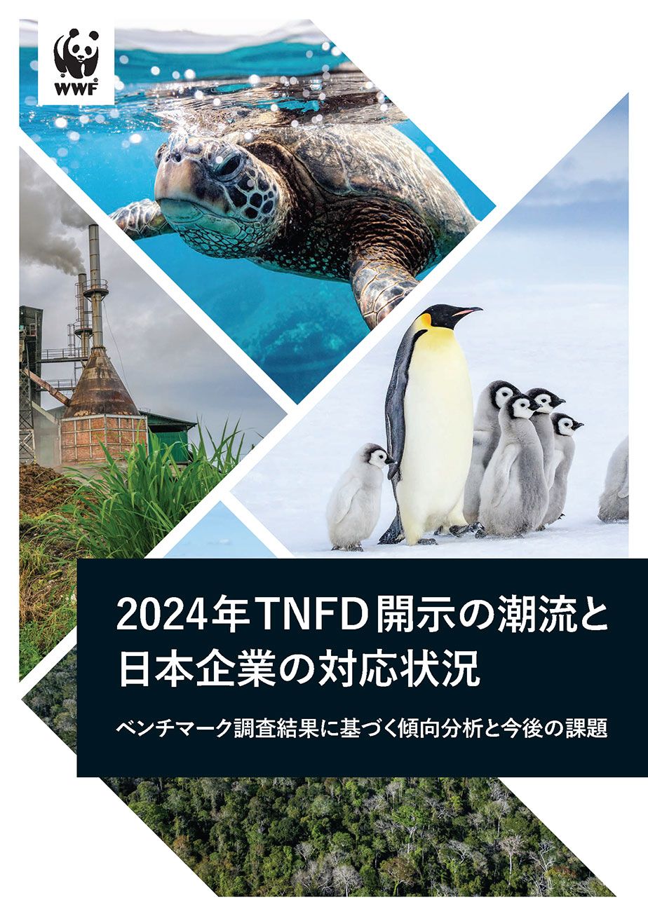 ベンチマークから読み解くTNFD開示の意義と企業動向 WWFと考える～SDGsの実践～【17】：朝日新聞SDGs ACTION!